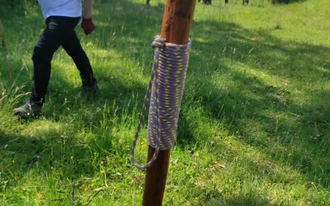 Eco hike i uspon na Crepoljsko povodom Svjetskog dana zaštite okoliša ...